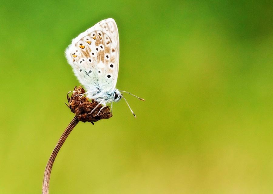 Alex Hare Photography | Landscape photography gallery of beautiful ...