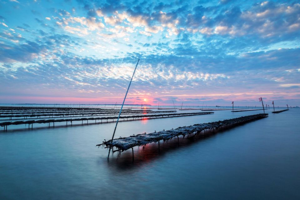Oyster Trestles, Whitstable