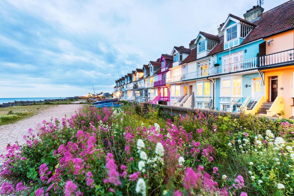 Wildflowers on Westbeach, Whitstable