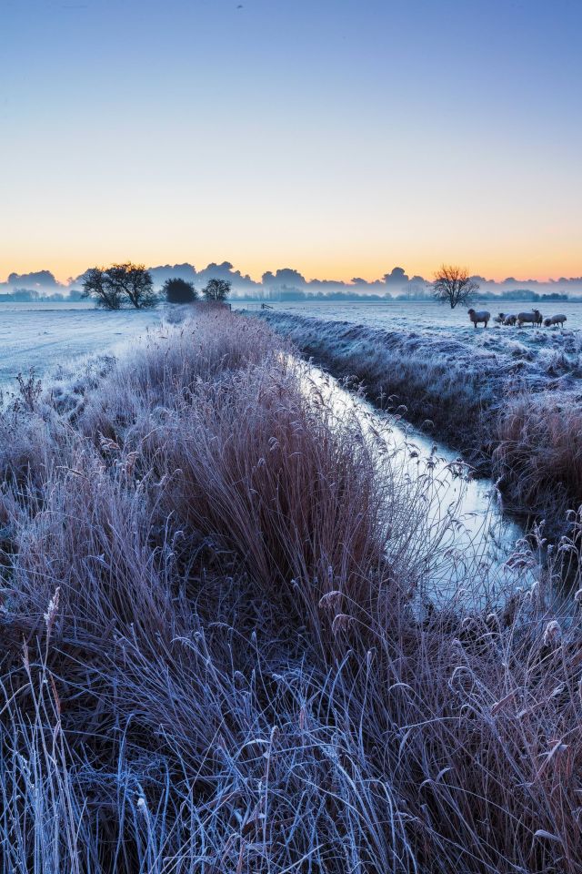 Romney Marsh, Frosty Morning, Kent