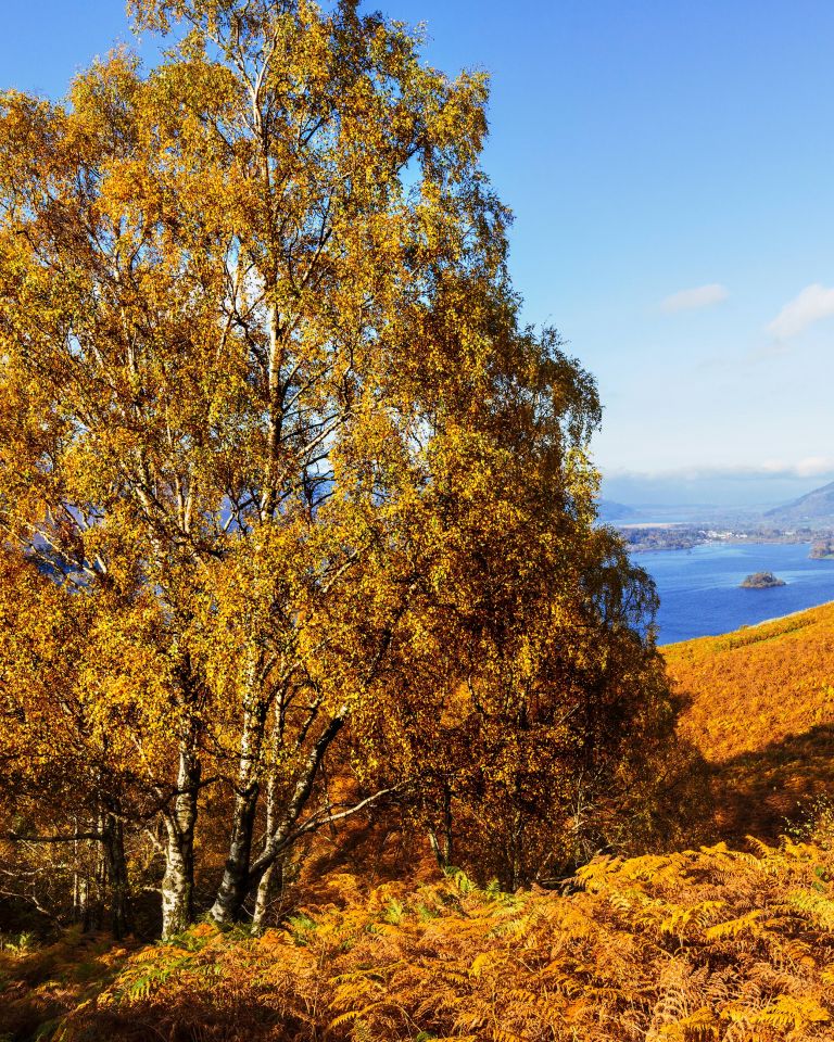 Bleaberry Fell, Lake District