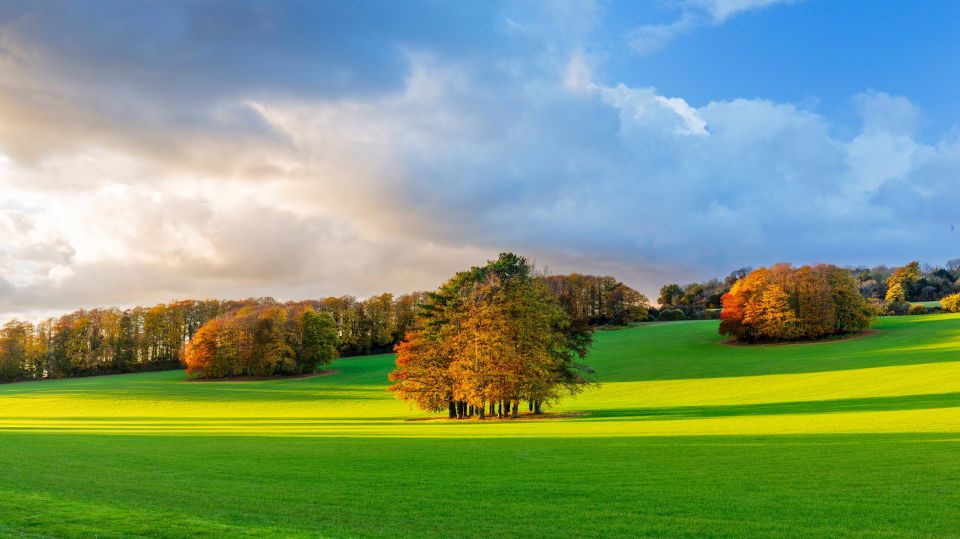 Autumn on Chartham Downs, Kent