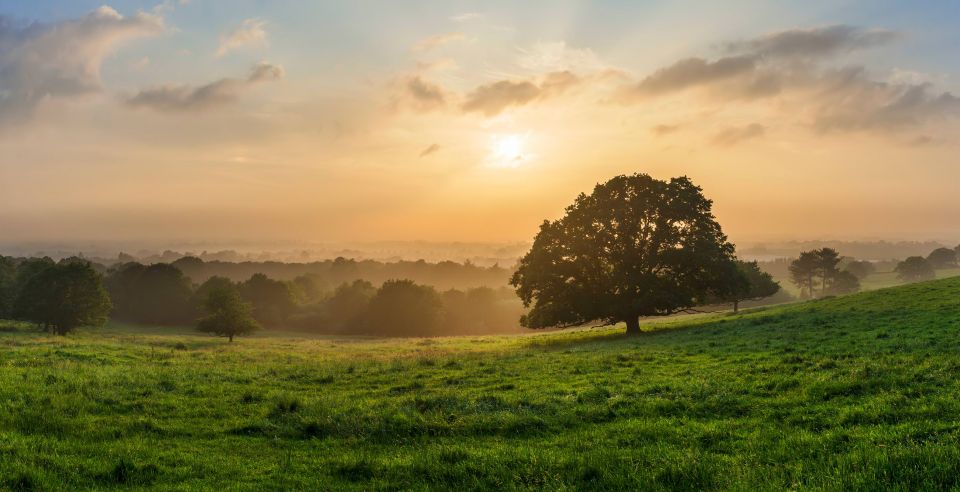 Sunset at Holly Hill, Kent