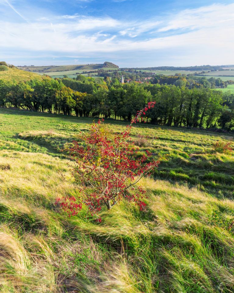 Postling in Autumn, Kent